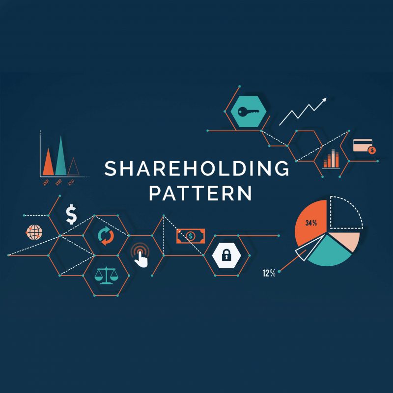 Corporate Governance – Smartlink Holdings Ltd.